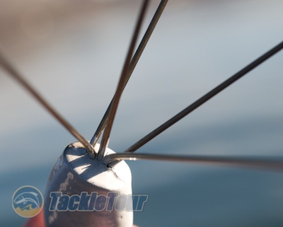 Alabama Rig Umbrella Rig Run Down : TackleTour.com