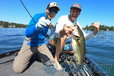 ICAST 2019 Coverage - Strike King Ned rage Bug