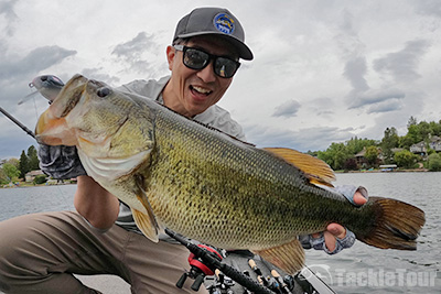 Illude Lunker Fighters Zombie Rat swimbait review #illude # ...