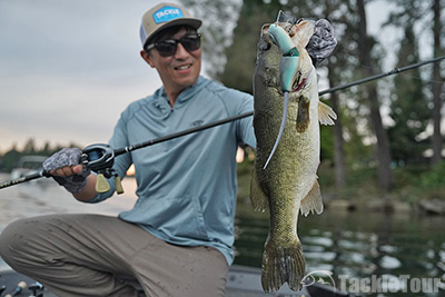 Rat Swimbait Roundup #ratswimbaits #ratrumble